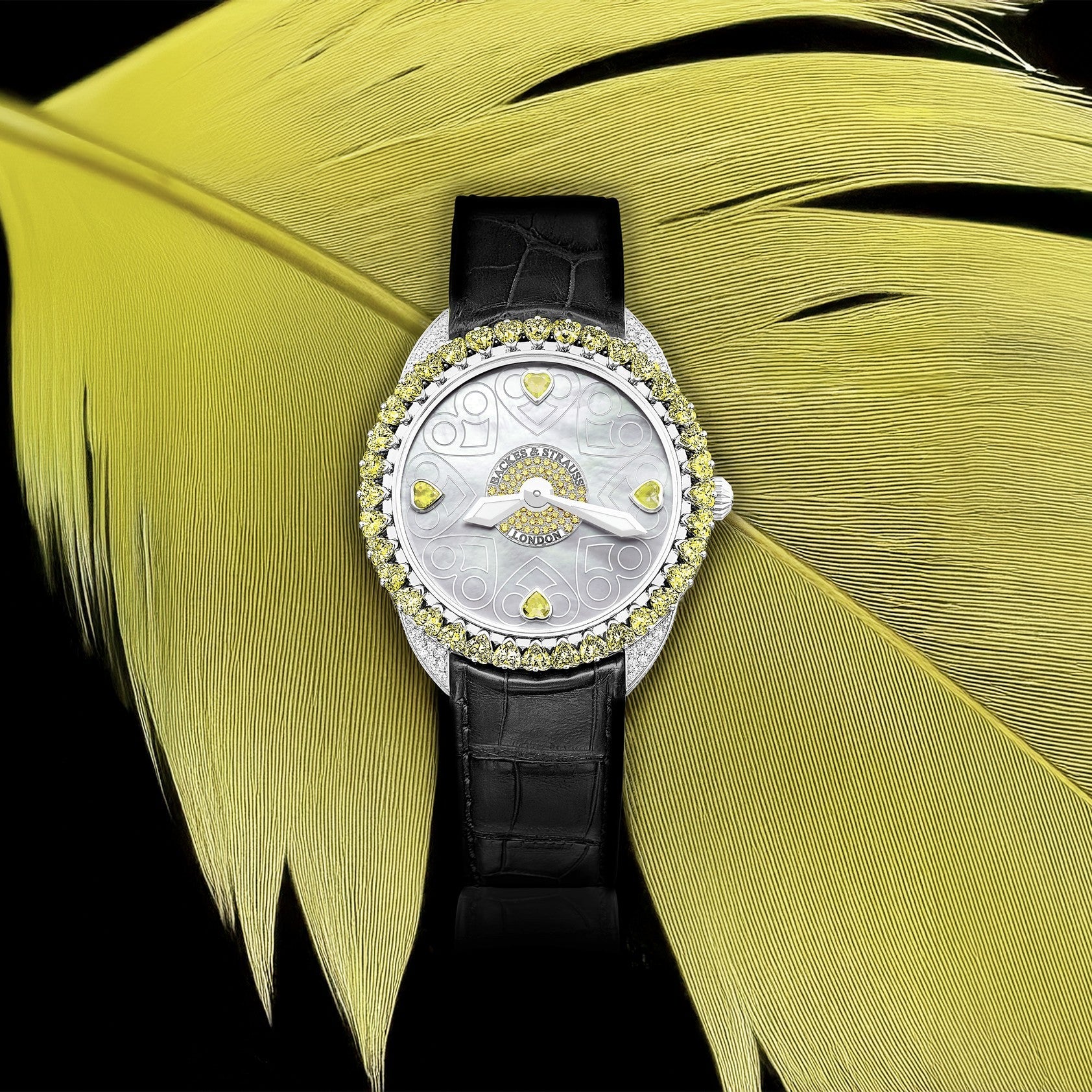BACKES & STRAUSS | Novelty/Specialty & Limited Edition Watches – TimeScape